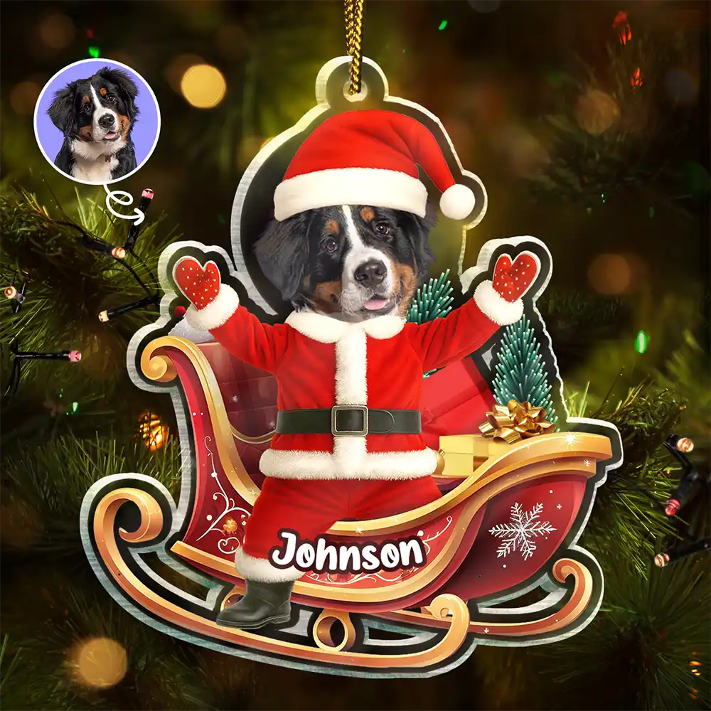 Custom Photo Funny Santa Face - Personalized Custom Shaped Acrylic Orn ...