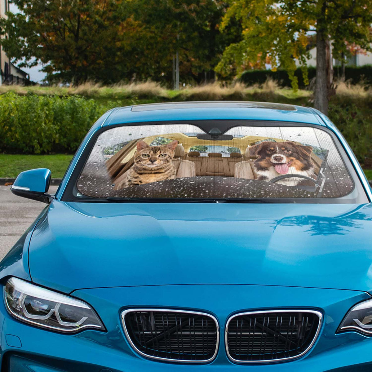 Custom Photo Pet Rainy Driving - Gift For Pet Lovers - Personalized Au ...